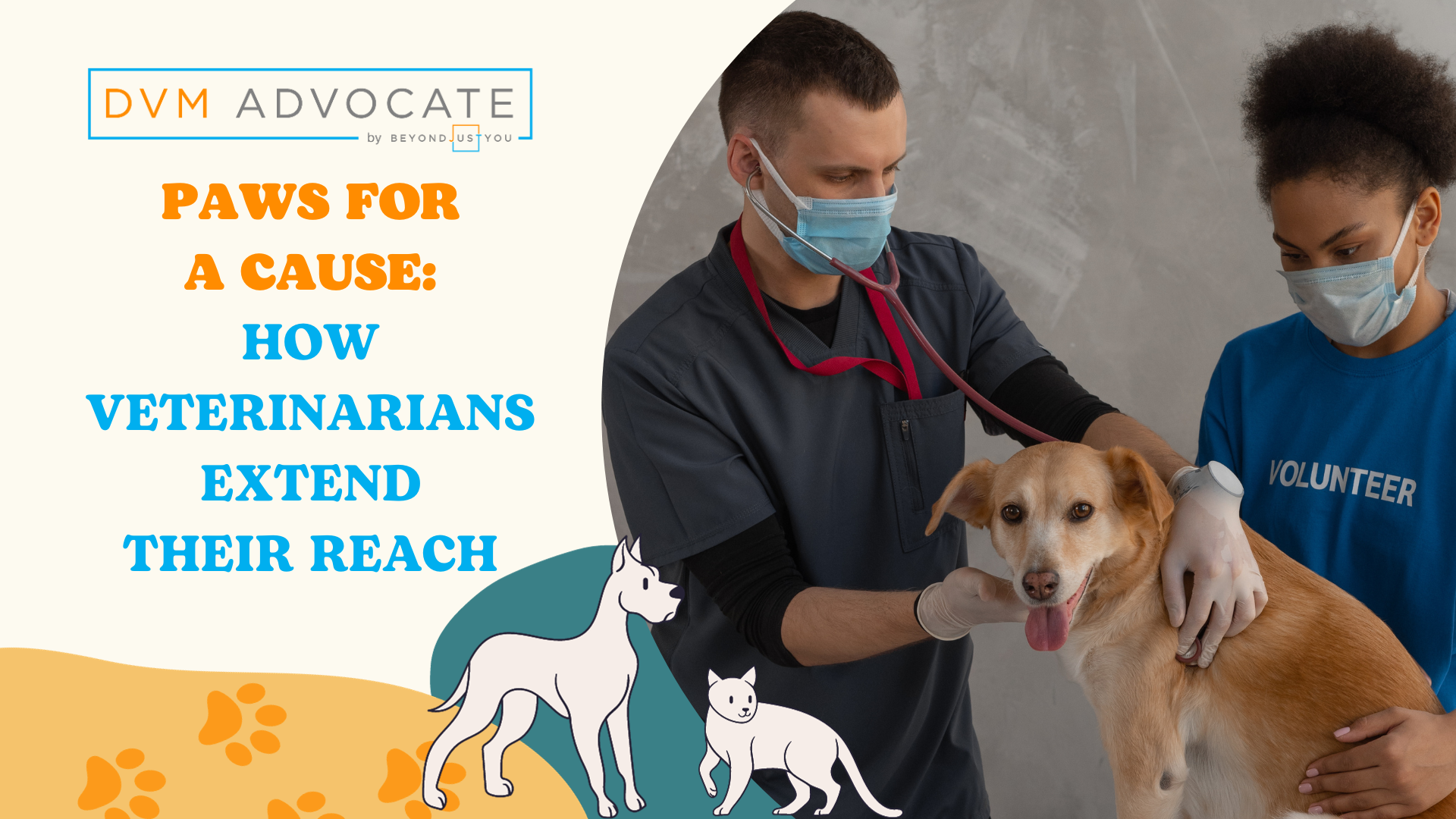 Paws for a Cause: How Veterinarians Extend Their Reach - DVM Advocate